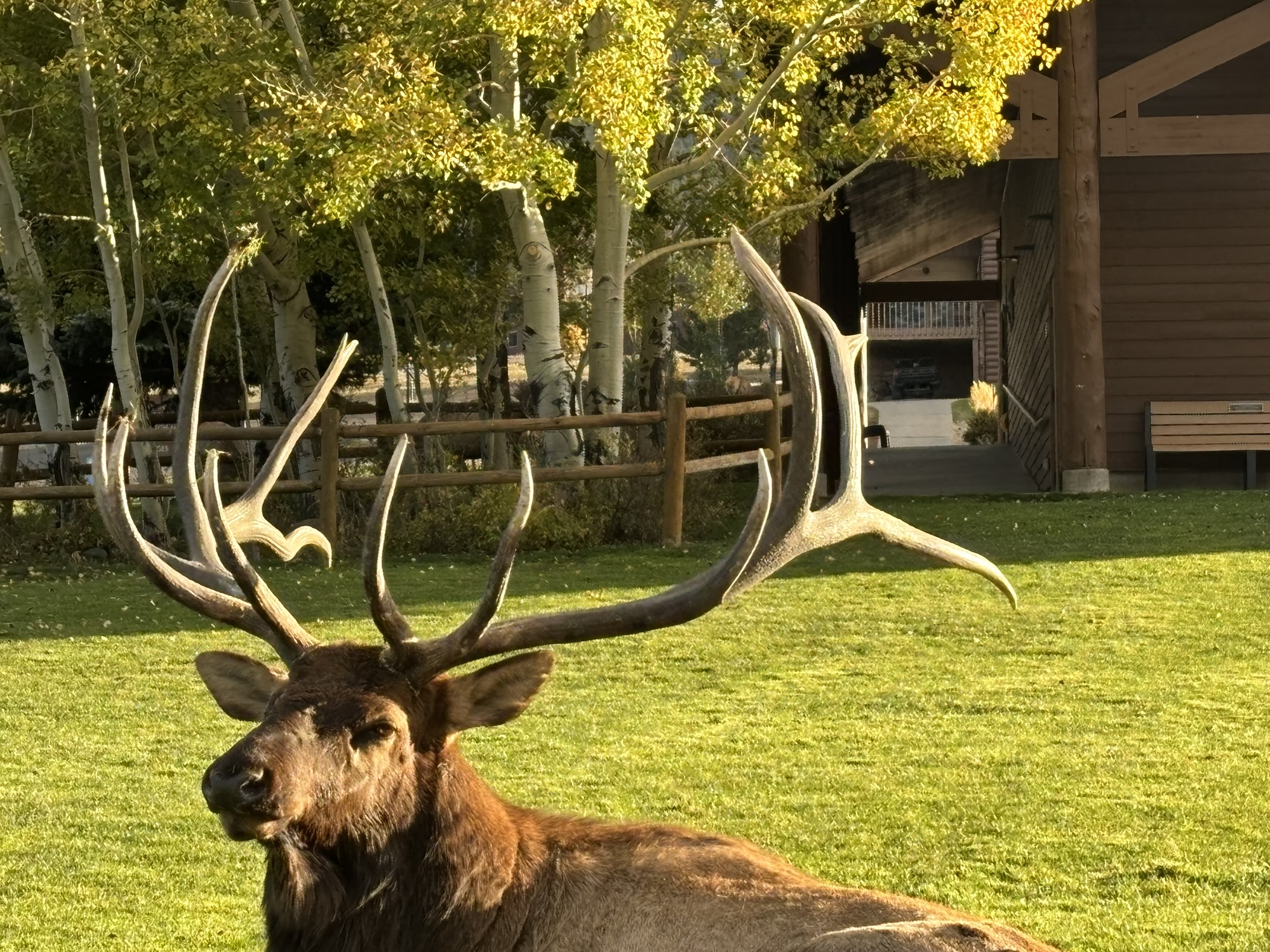 “Elks Club” – Lyfting Me Up
